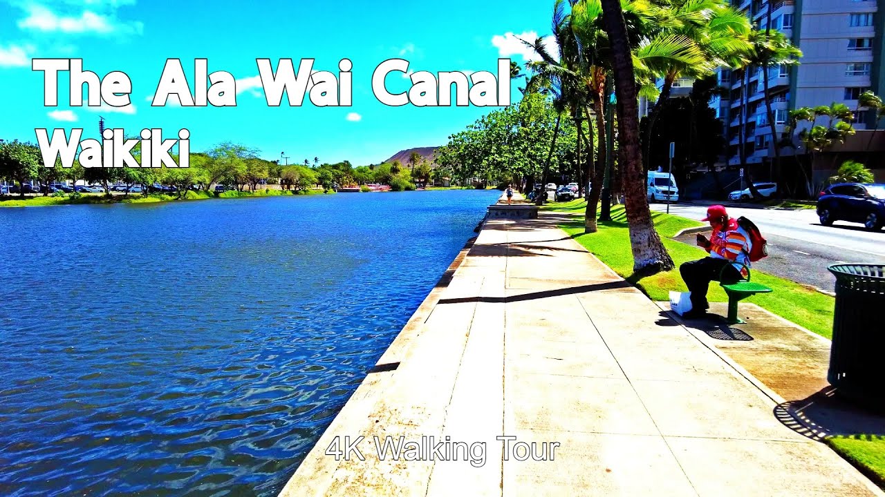 Kuhio Avenue by Ala Wai Canal in Waikiki | 4K Walking Tour - YouTube
