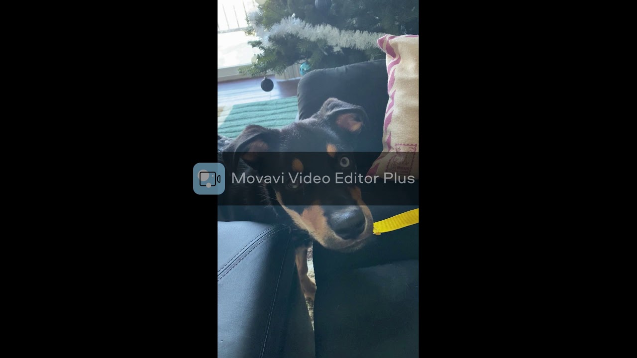 Welcome Home Ava - YouTube