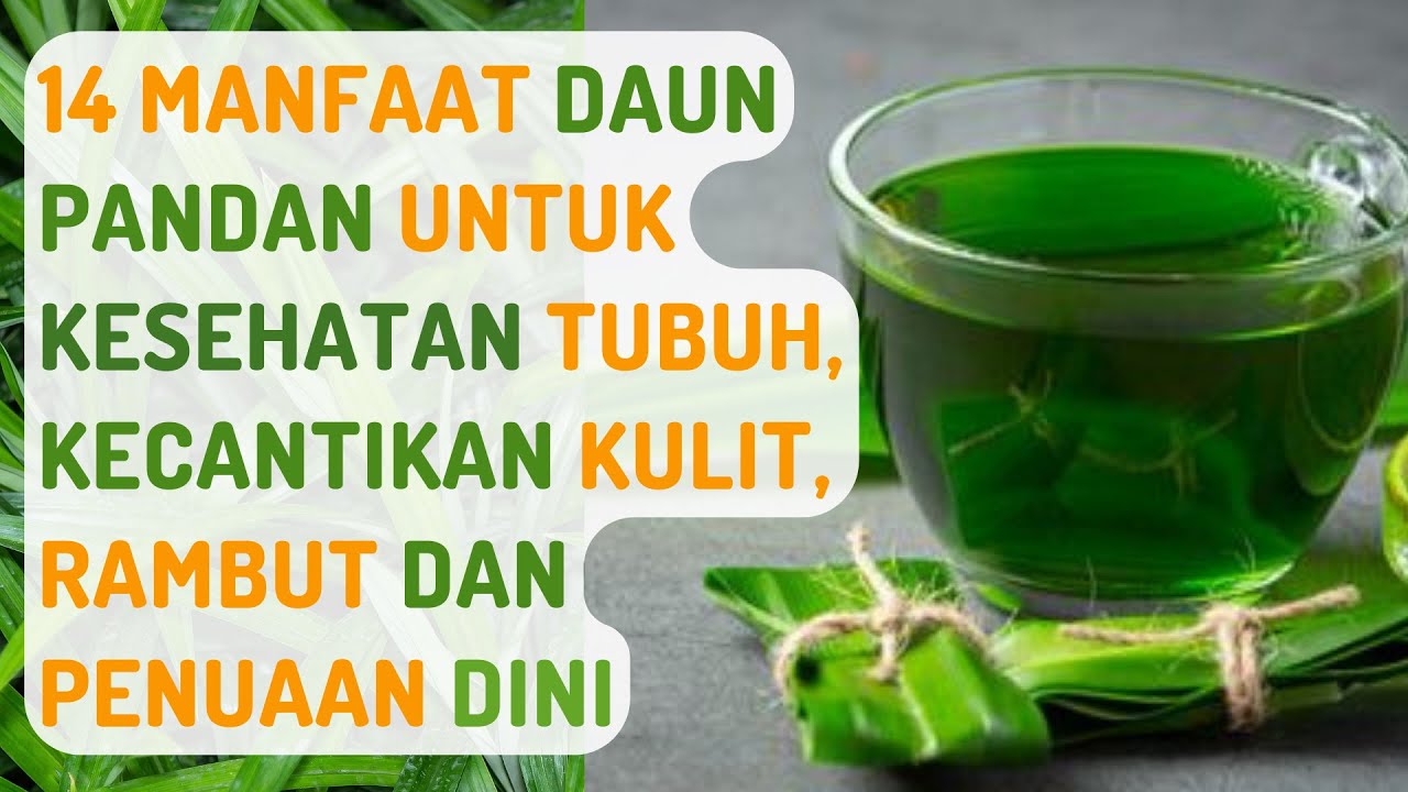 14 Manfaat Daun Pandan untuk Kesehatan Tubuh, Kecantikan Kulit, Rambut ...