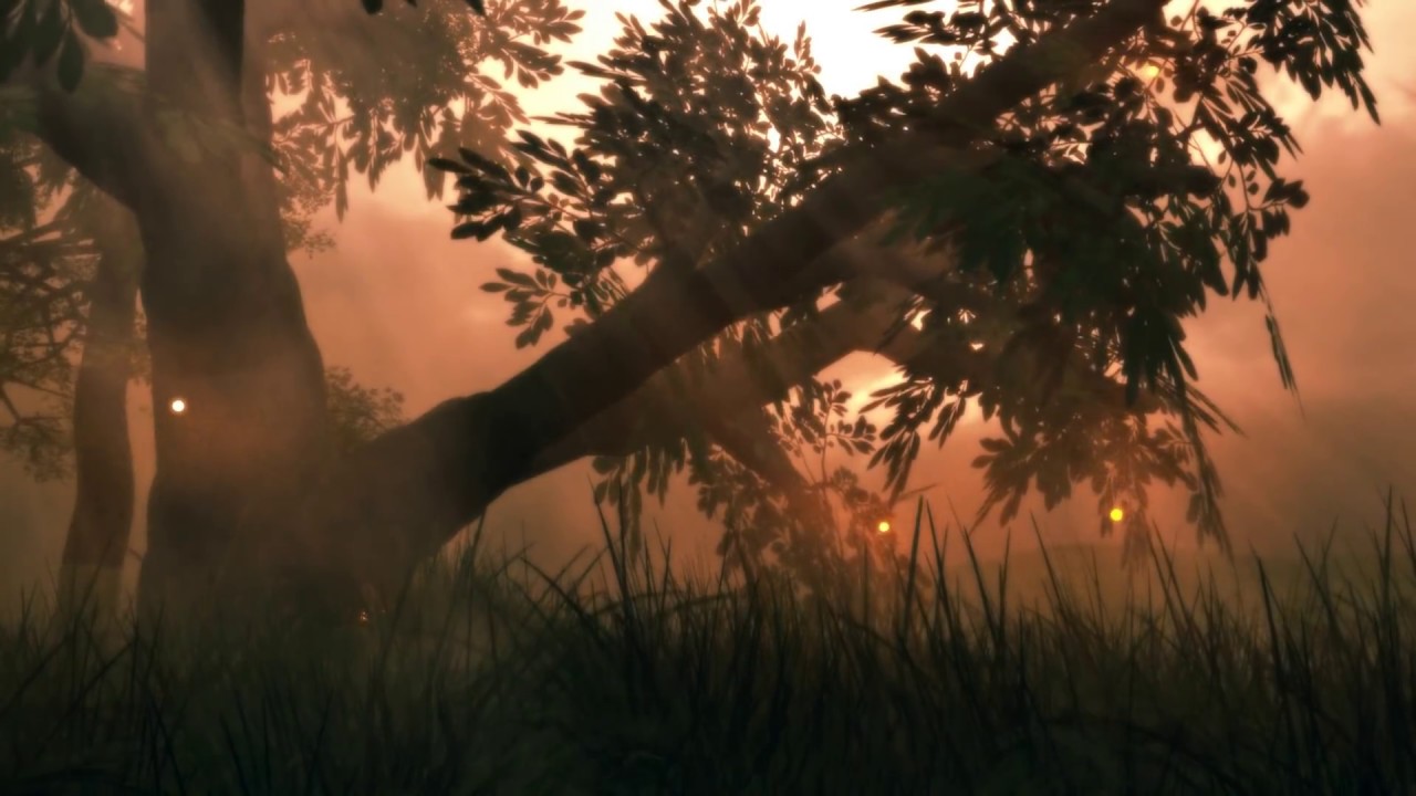 Magic Forest Lullaby. Peaceful Chamber Orchestra (Piano, Cello and ...