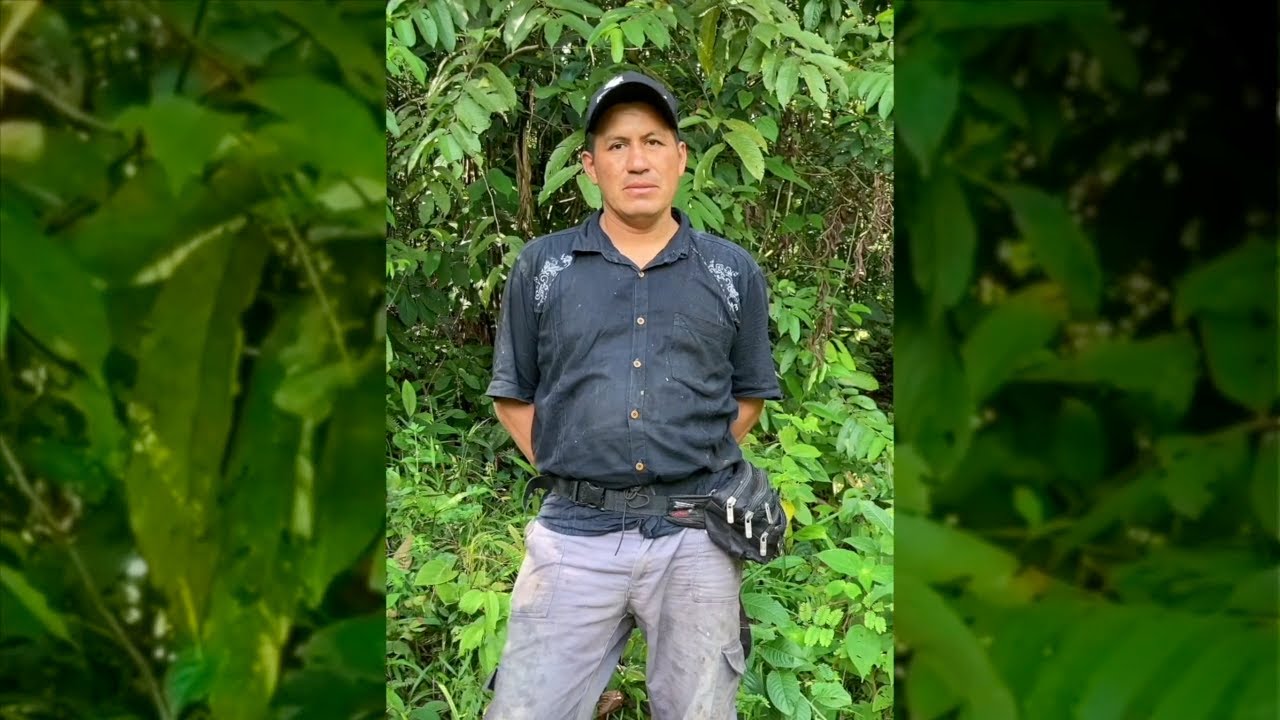 Meet Pedro! - YouTube
