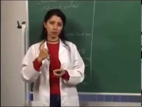 20. Yüzyılda Osmanlı Devleti