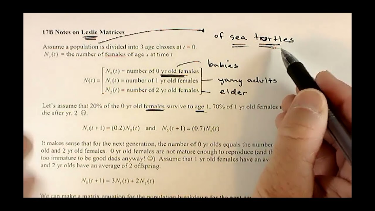 Modeling With Matrices - YouTube