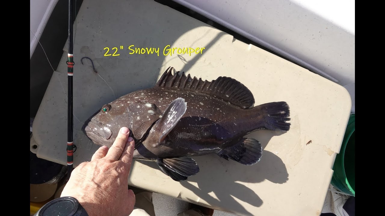 Pre Dawn to Early Dusk Fishing Part 1 - YouTube