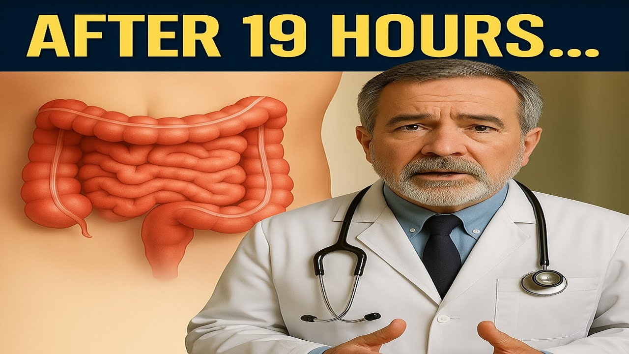 19 Hours Without Food: Shocking Benefits for Your Body & Mind - YouTube