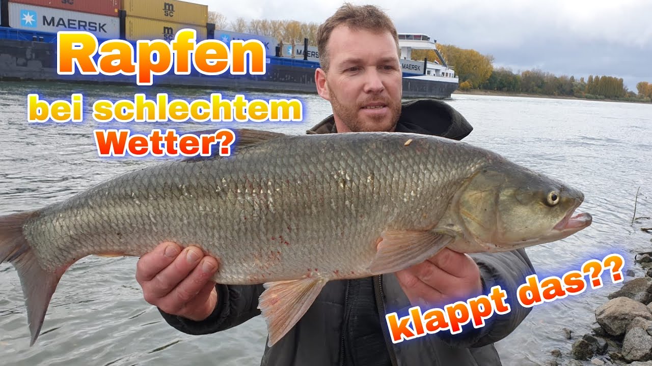 RAPFEN ANGELN BEI EXTREM SCHLECHTEM WETTER - YouTube