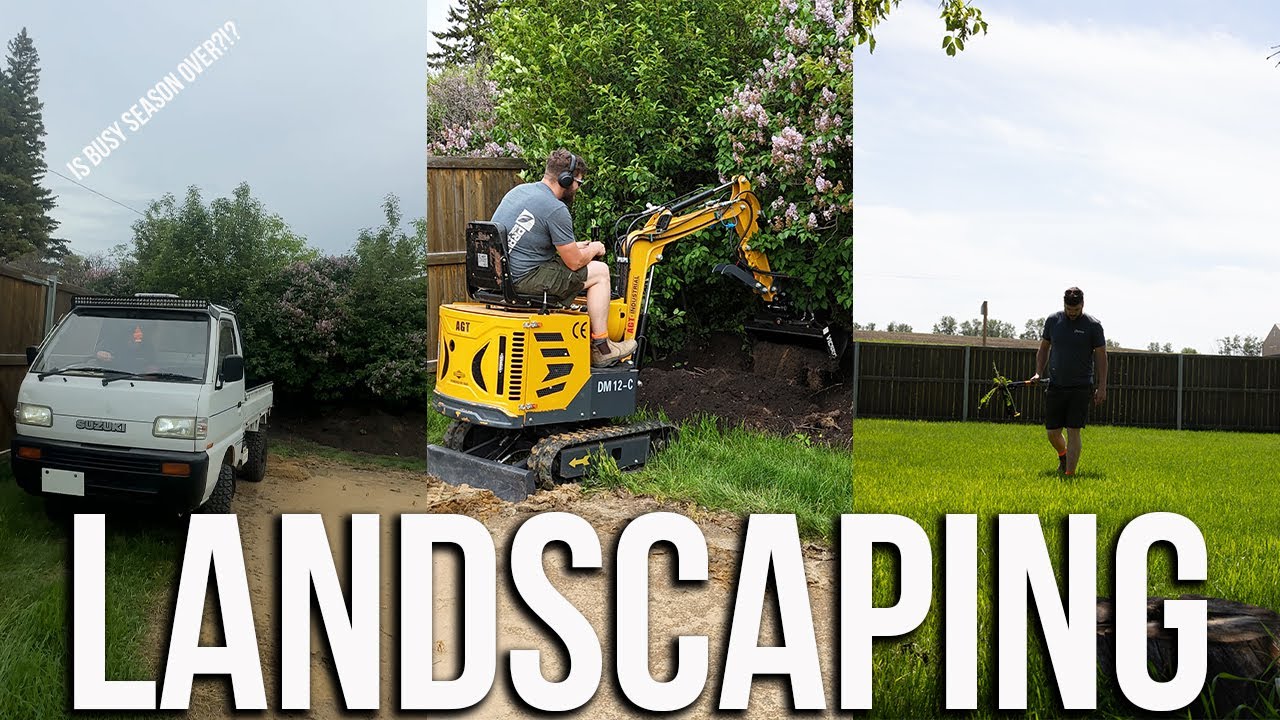 Reseed 2024 & Landscaping - YouTube