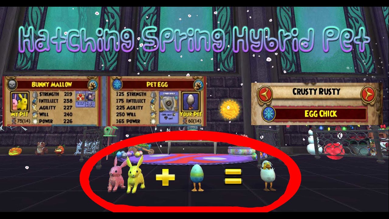 Wizard101 : HATCHING SPRING HYBRID PET - The Egg Chick - YouTube