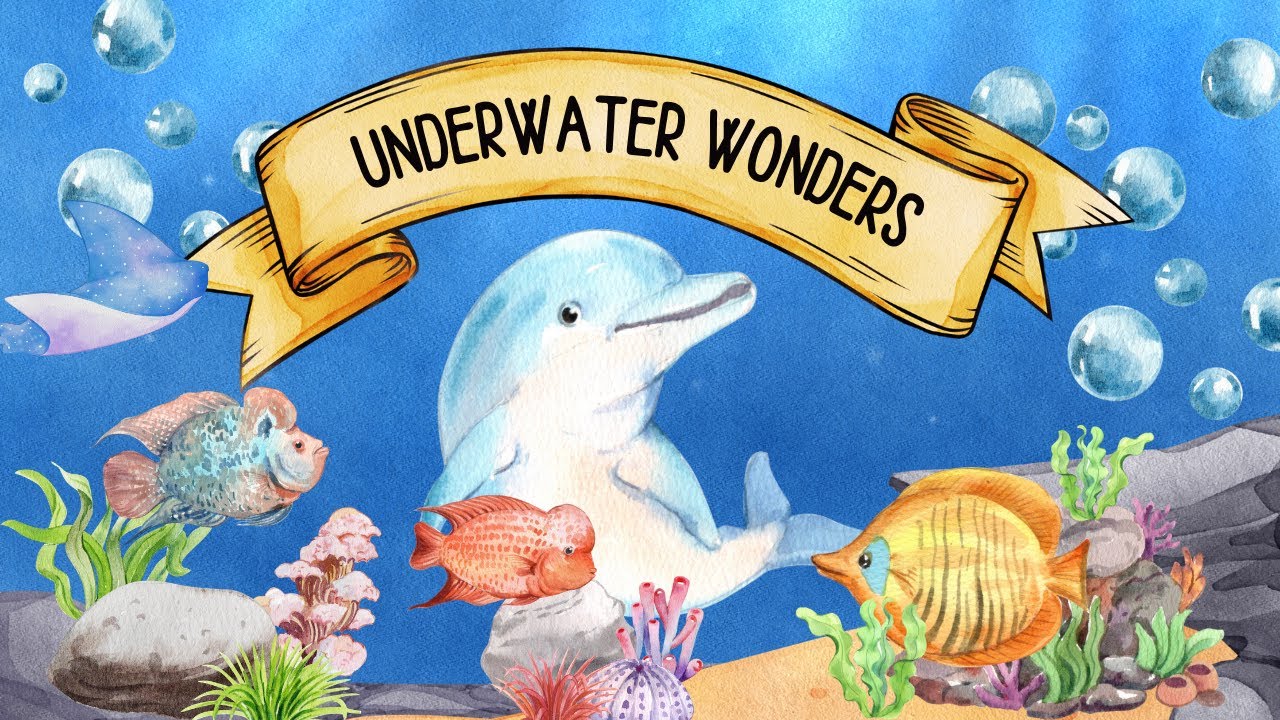 Underwater Wonders: Dive into a Colorful World! - YouTube