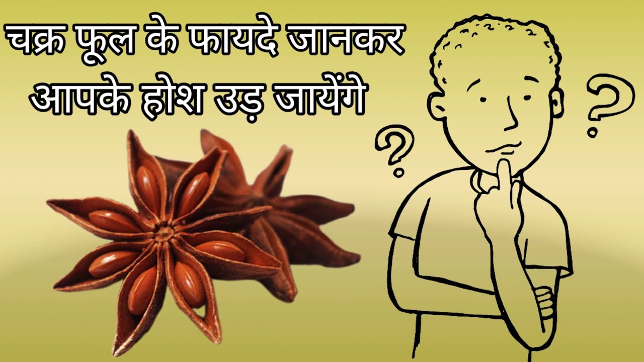 Chakra Fool Ke fayde Jaankar Apake Hosh Ud Jayenge/ Star Anish Ke Kya ...