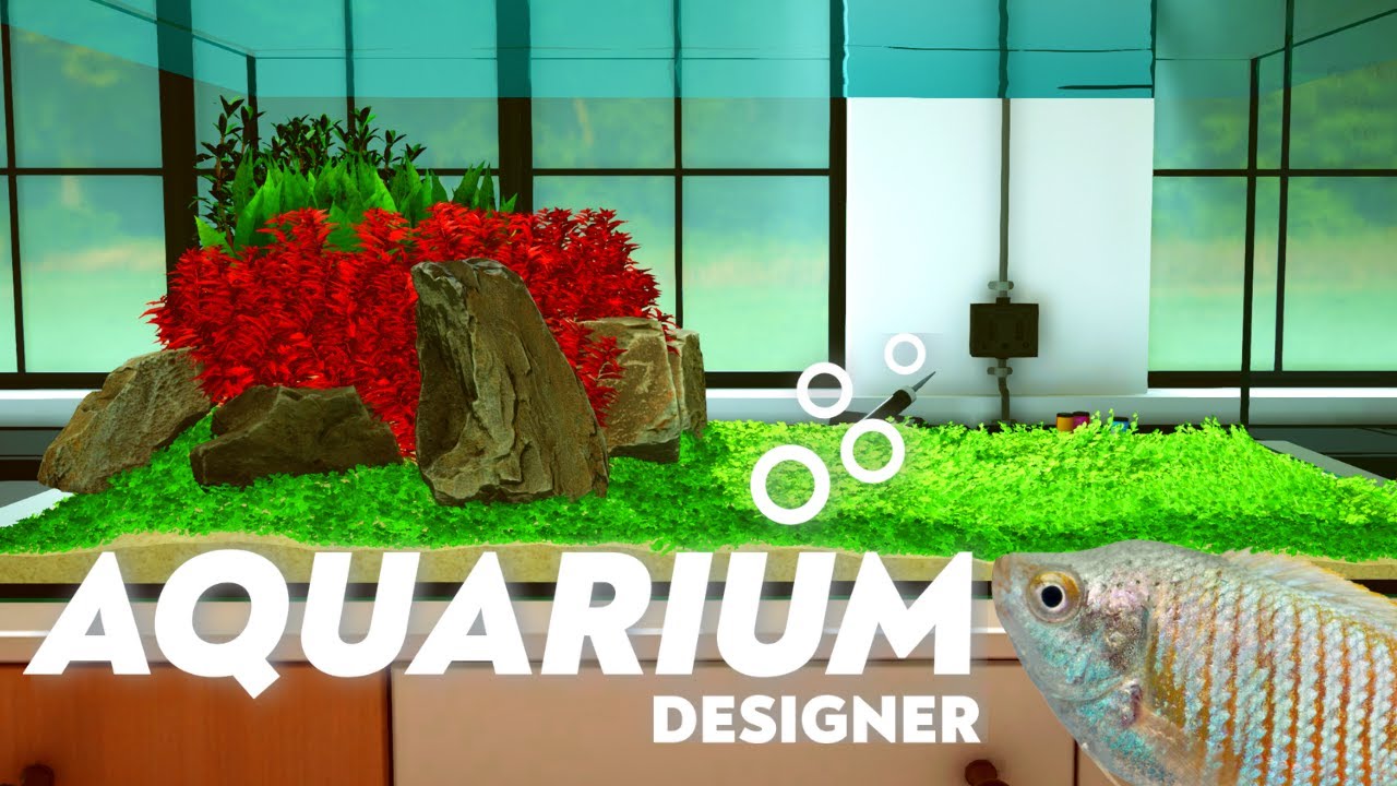 Multi Level Plant Scape | Aquarium Designer | Ep 4 - YouTube
