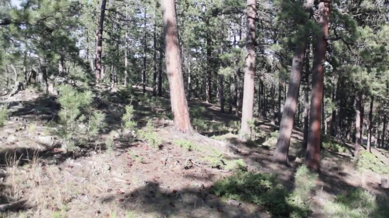 13094 Mission Hills Loop , Rapid City, SD 57702 MLS # 129050 ~ $265,000 ...