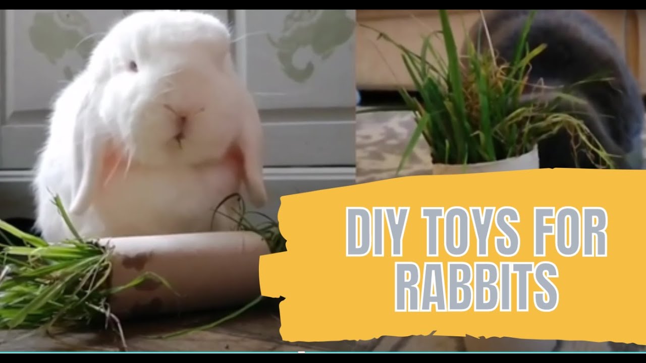 DIY toys for rabbits - YouTube
