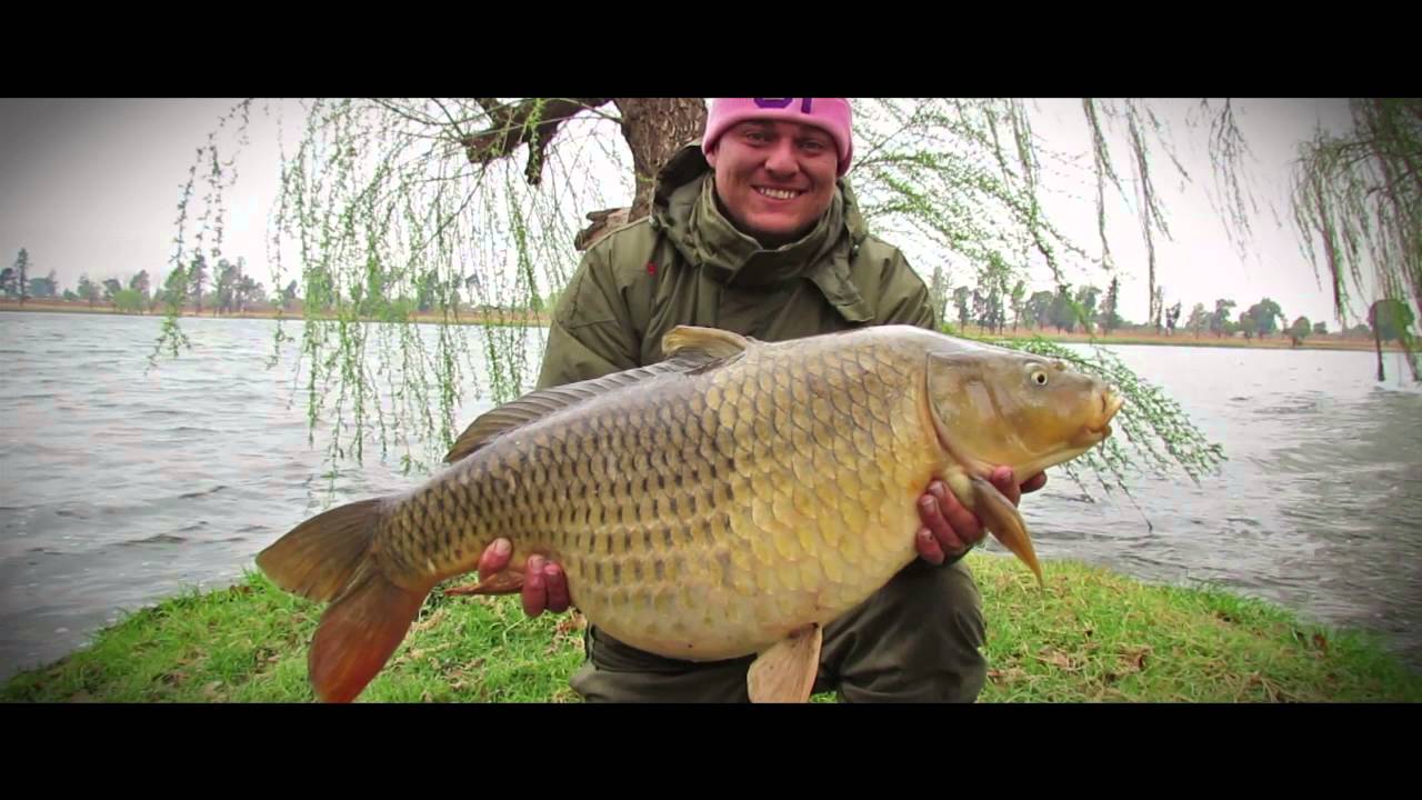 GT @ Donaldson - 2016 - YouTube