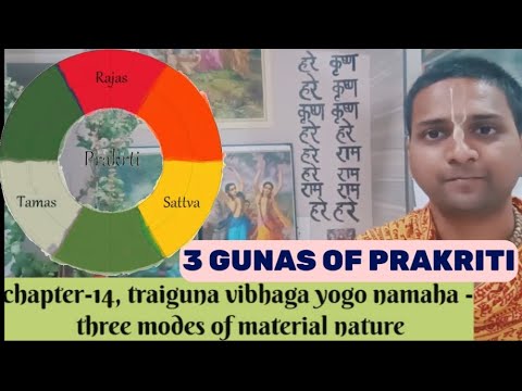 How 3 Gunas bind Jiva ? || Bhagavad Gita series || Amrit Krishna das ...