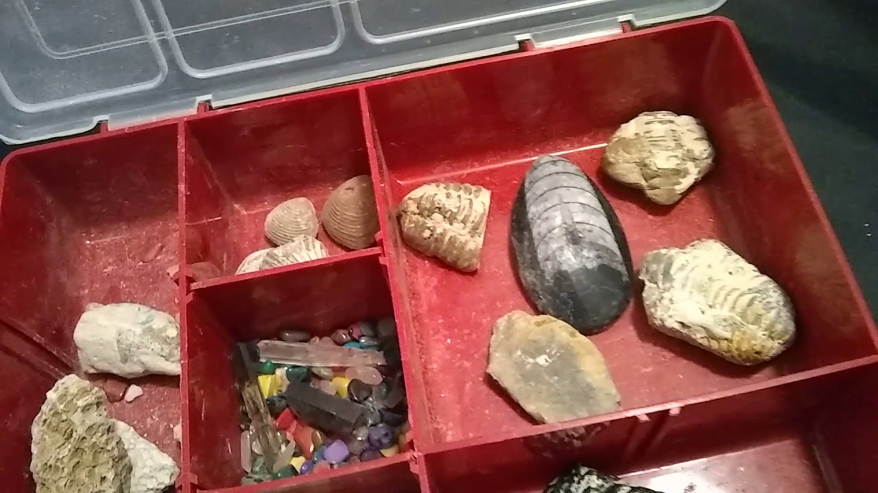 Rocks and fossil collection 2019 - YouTube
