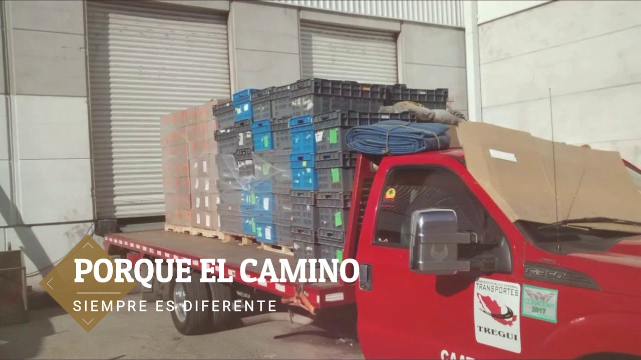 trasnportes tregui 2017 - YouTube