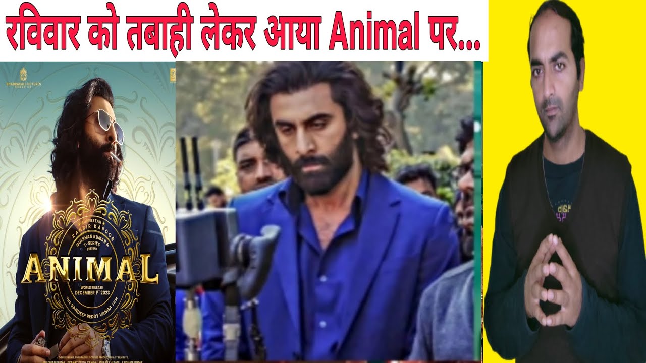 Animal Day 3 Box Office Collection | Animal Box Office Collection ...