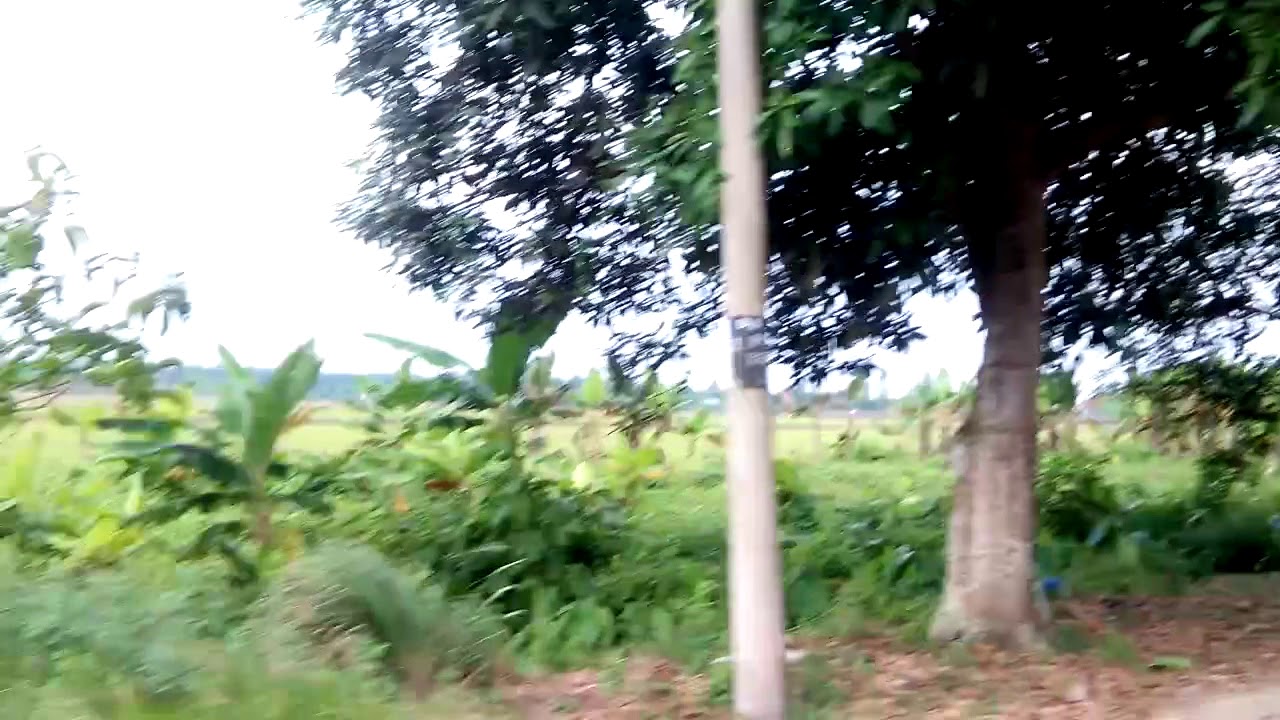 Harkened was hopps.lp - YouTube