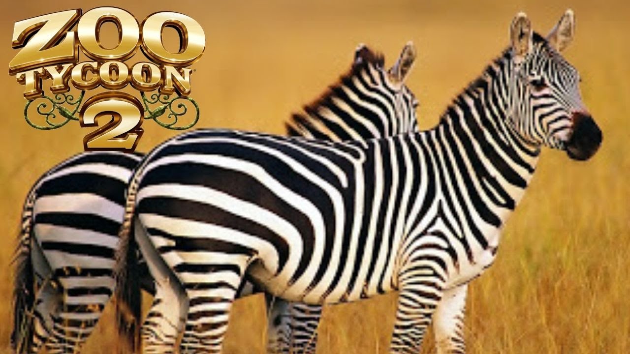 Zoo Tycoon 2: Zebra Exhibit Speed Build - YouTube