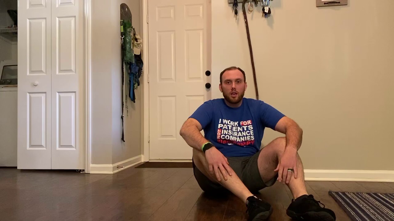 Basking Seal - YouTube