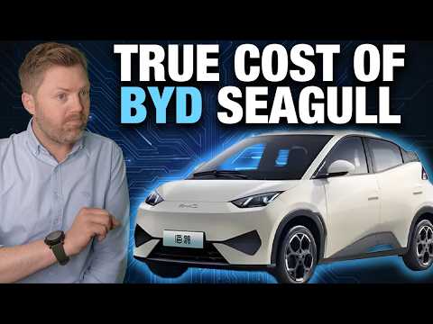 THE TRUE Cost of The BYD Seagull is Far More Than You Think