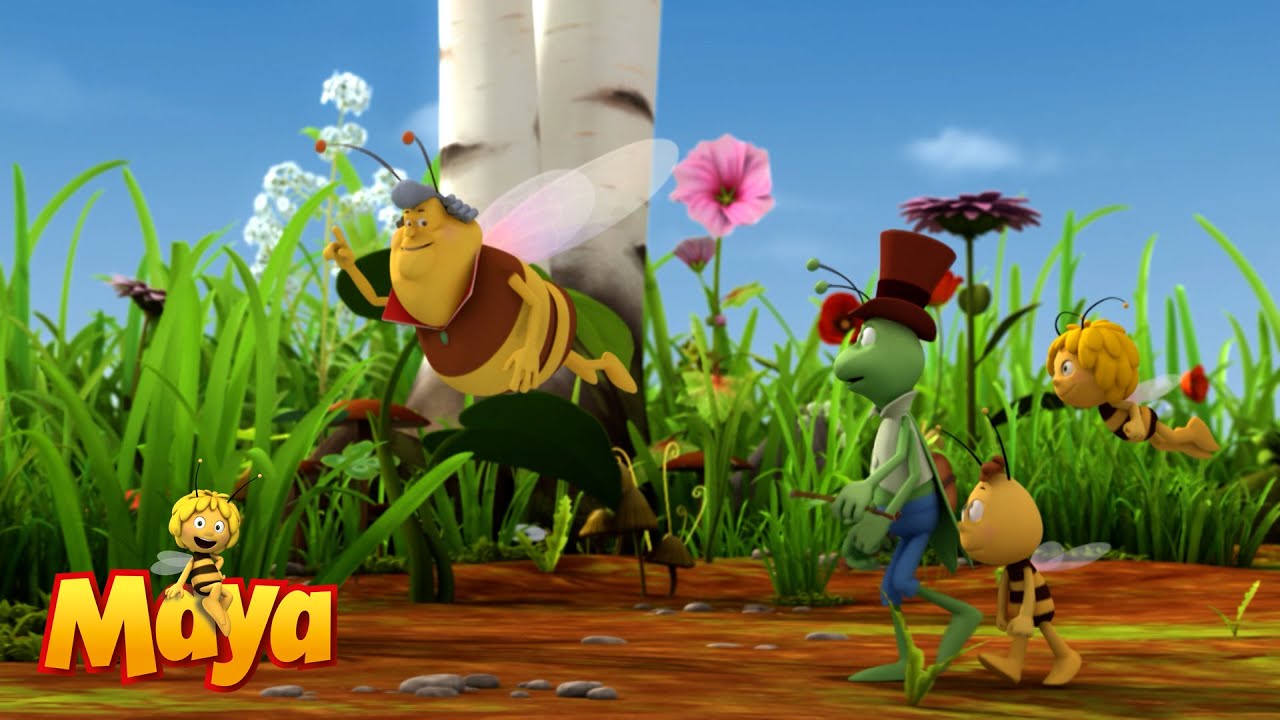 Bumble bee - Maya the bee🍯🐝🍯 - YouTube