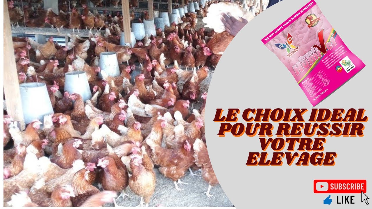 Présentation Complète de GRAND HUMIVET français pour l'élevage BIO de ...