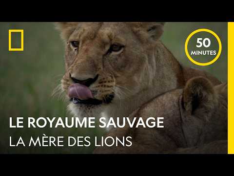 Le royaume sauvage | La mère des lions | Episode complet