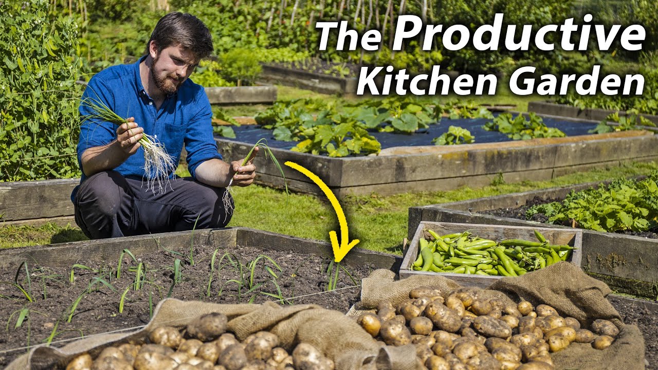 3 Simple Ways to get LOADS More Food from Your Vegetable Garden | How I ...