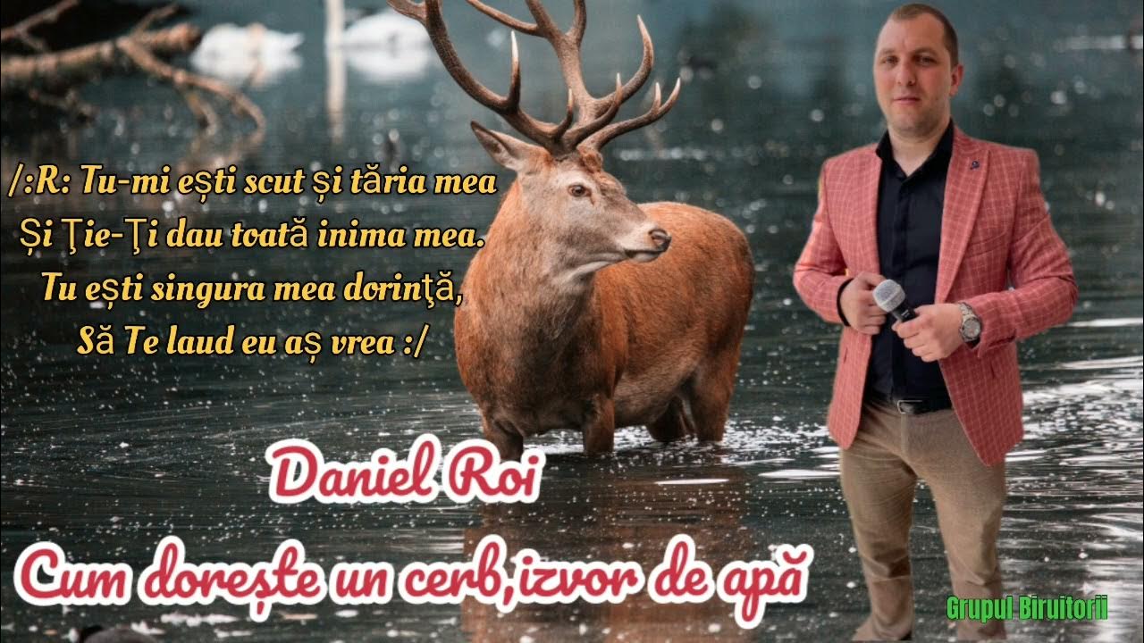 Daniel Roi-Cum doreşte un cerb izvor de apă - YouTube