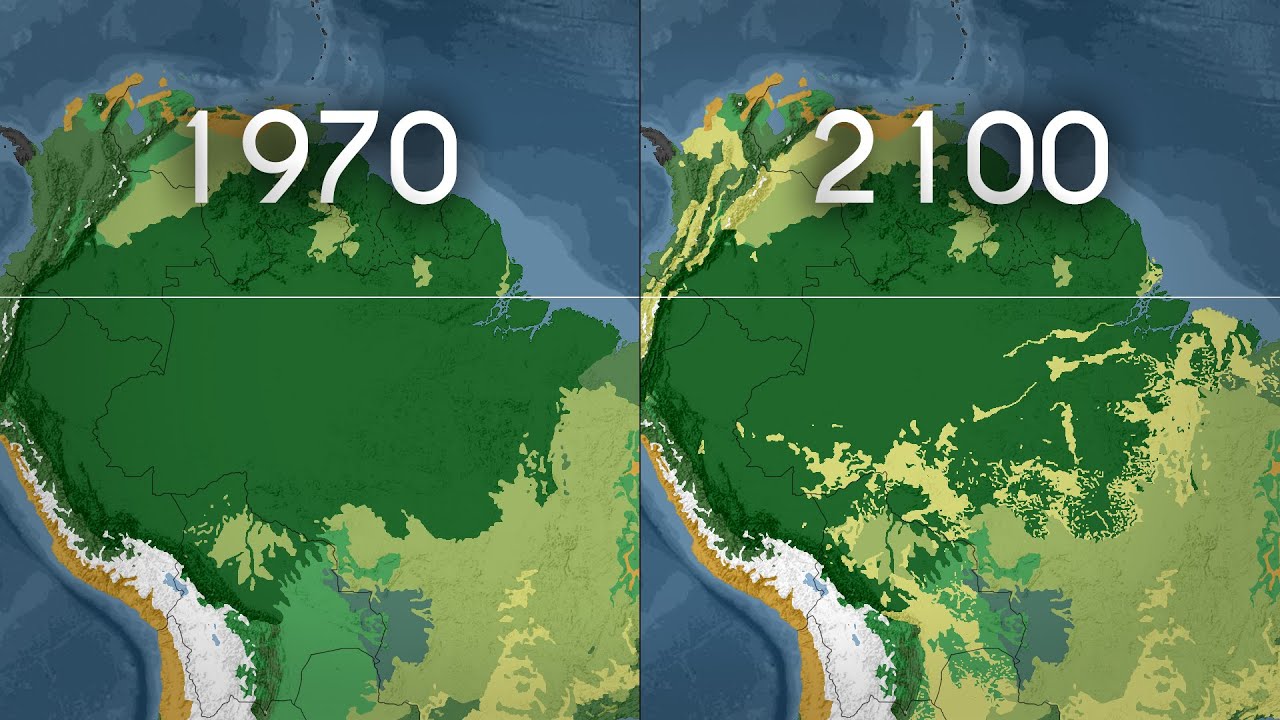 Deforestation of the Amazon Rainforest (1970–2100) - YouTube