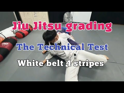 주짓수심사_Jiu-Jitsu Grading_Technical Test - YouTube