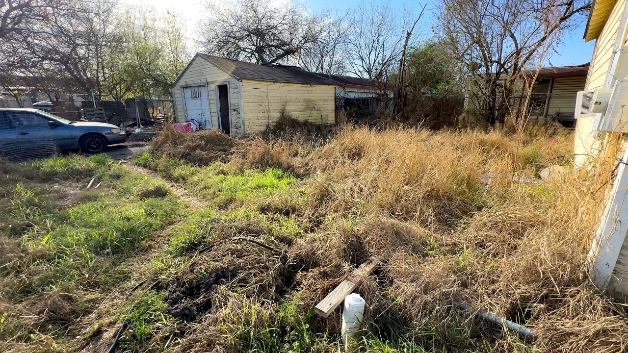 I DROVE by this DISASTER Lawn - The HOMEOWNER was SHOCKED when I ...