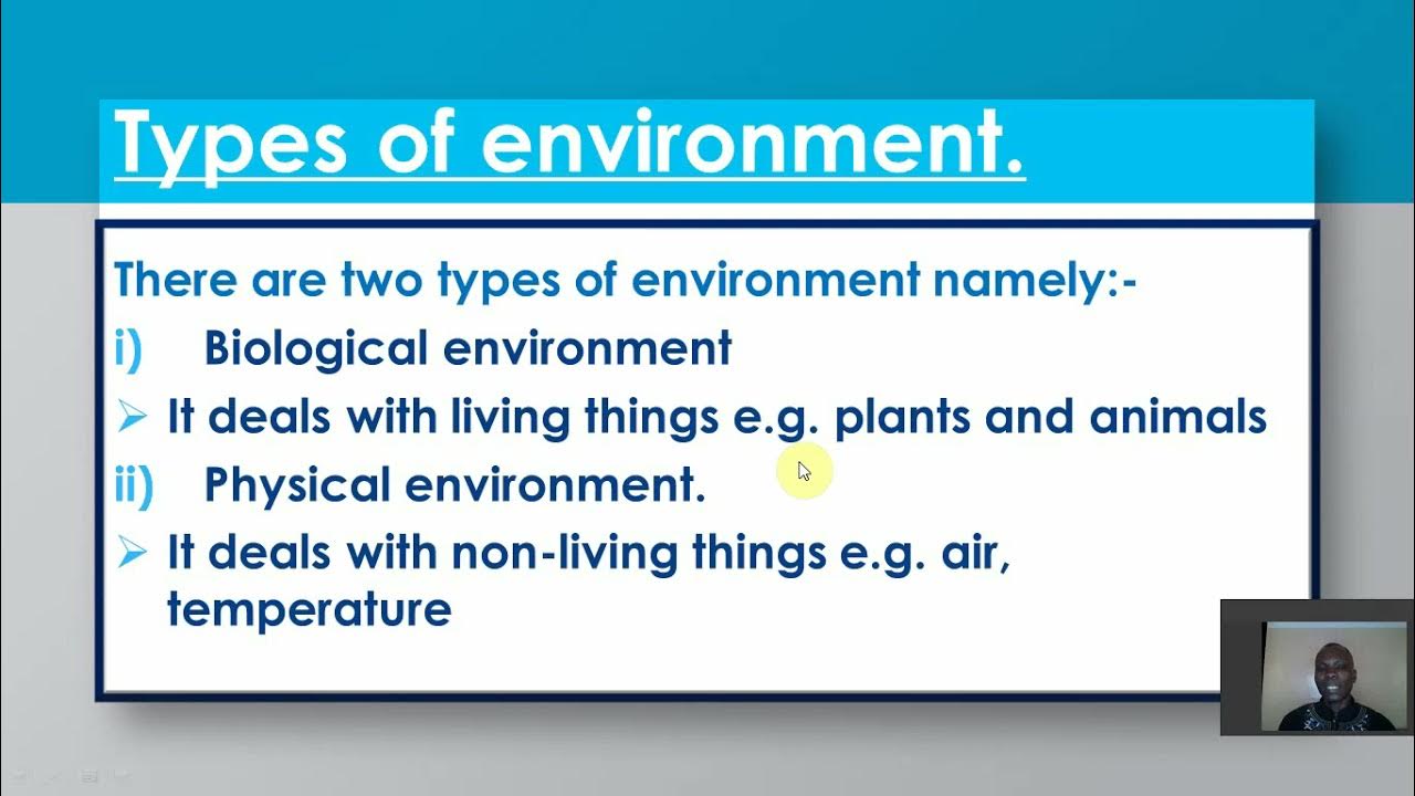 Primary Five Science on Changes in the environment - YouTube