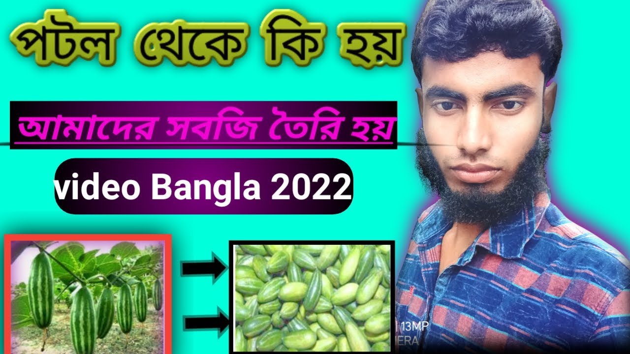 What happens from Patal || How to make Patal vegetables? Patal is what ...