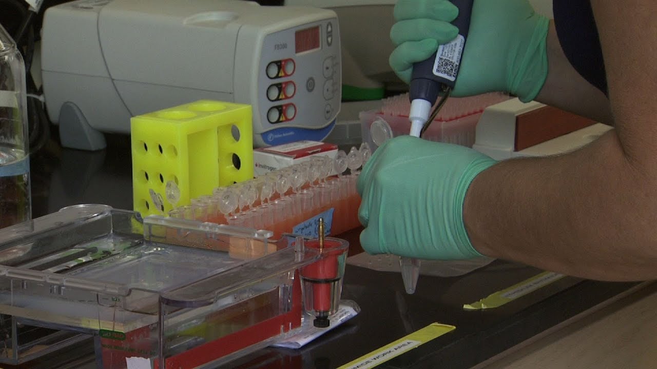 A new water test could detect dangerous pathogens on beaches and in ...