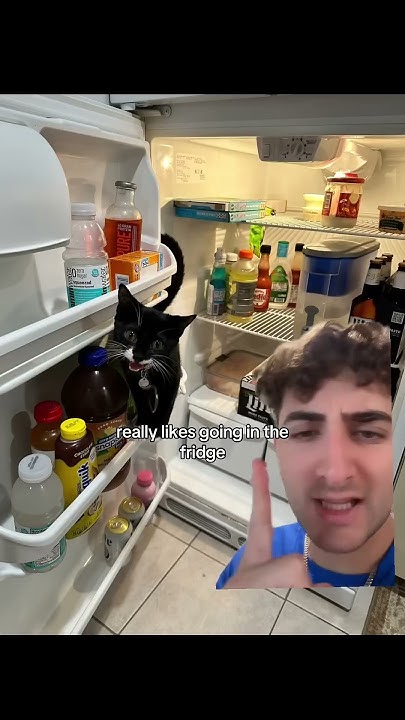 This needs to stop NOW… - YouTube