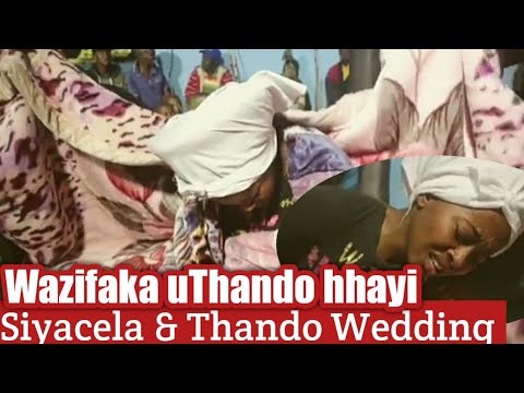 Isencane Lengane Siyacela And Thando's Wedding | Wazifaka uThando Kodwa | TBT - YouTube