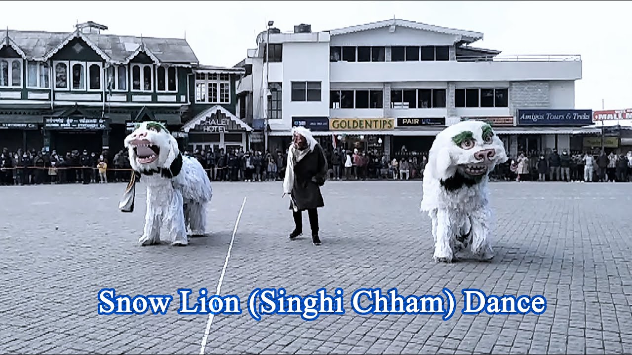Snow Lion (Singhi Chham) Dance Performed by Darjeeling - YouTube