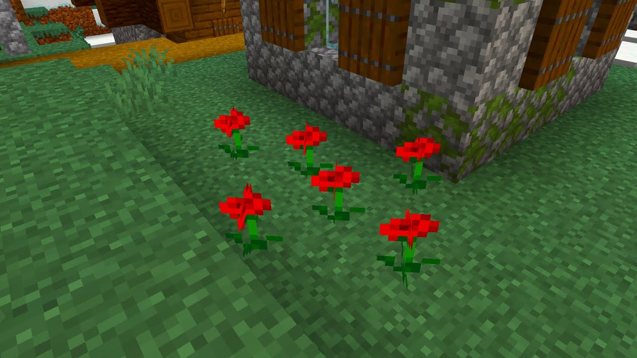 I found this in the "Ghost Villager" seed in Minecraft.. - YouTube