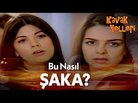 Kızlar Yurtta Sudan Çıkmış Balığa Döndü  | Kavak Yelleri Özel Kolaj