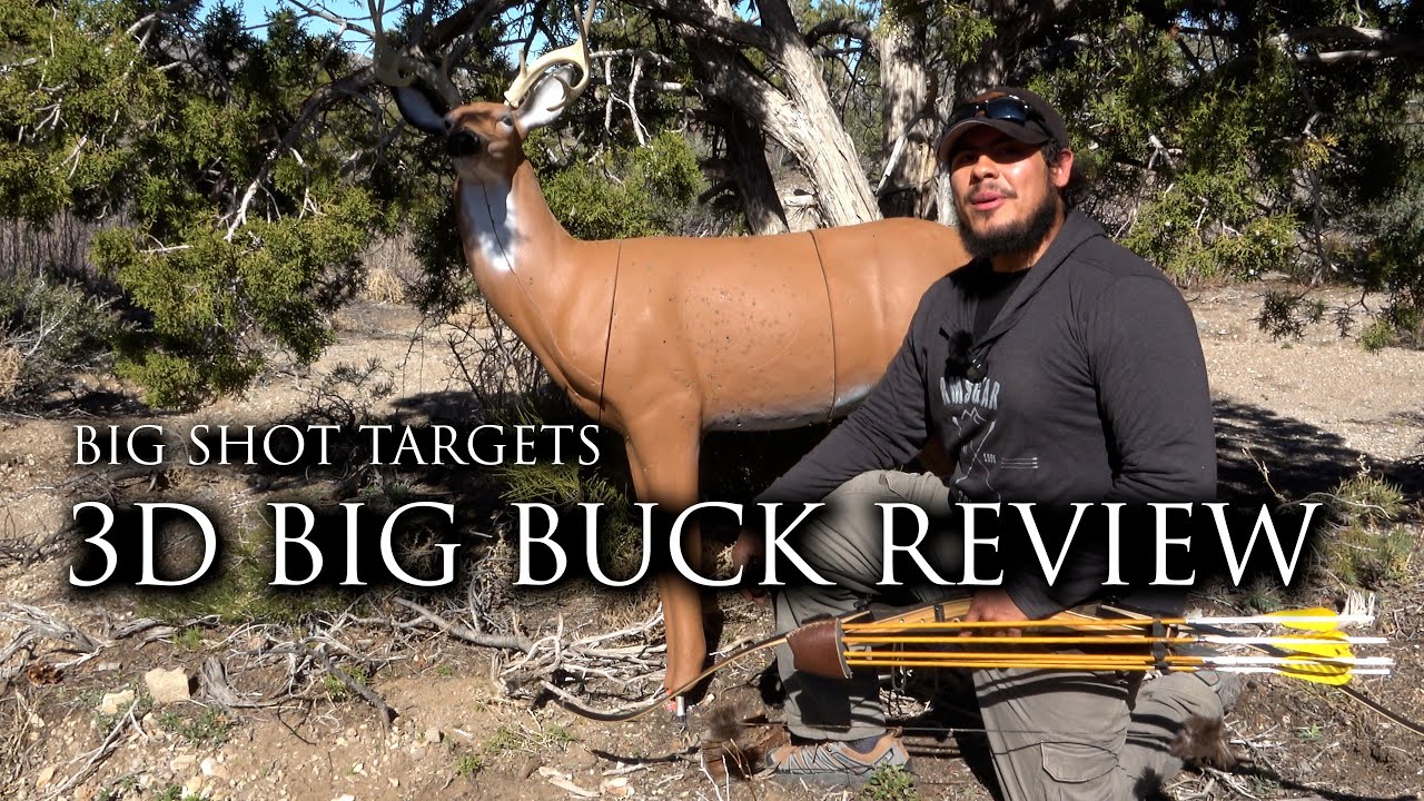 BIG SHOT TARGETS || REAL WILD 3D BIG BUCK DEER REVIEW & SHOOT - YouTube