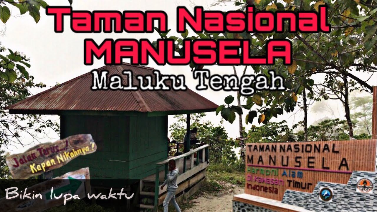 Taman Nasional MANUSELA | MANUSELA | Maluku Tengah - YouTube