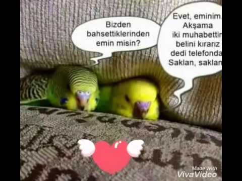 Komik sözler SÜPERRR İzlemeden geçmeyin !!!😊😊😊