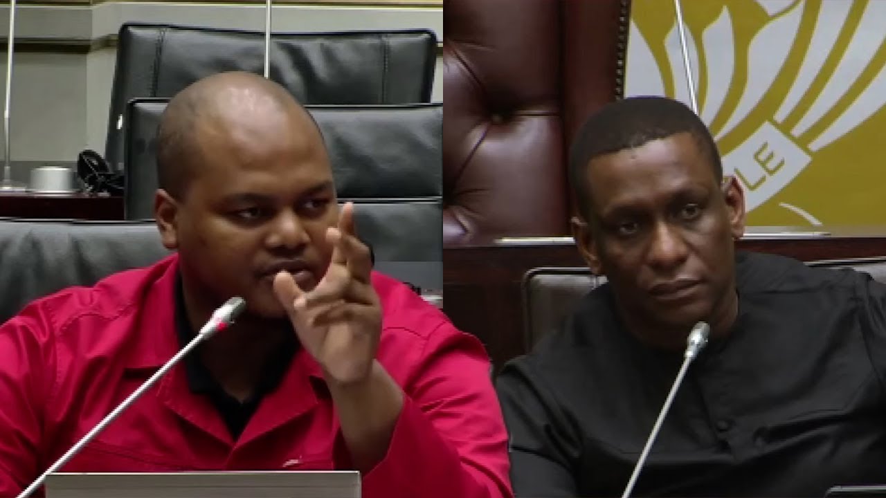 EFF Sihle Lonzi Asked By Chair “When You Ask A Question Just Ask 1 ...