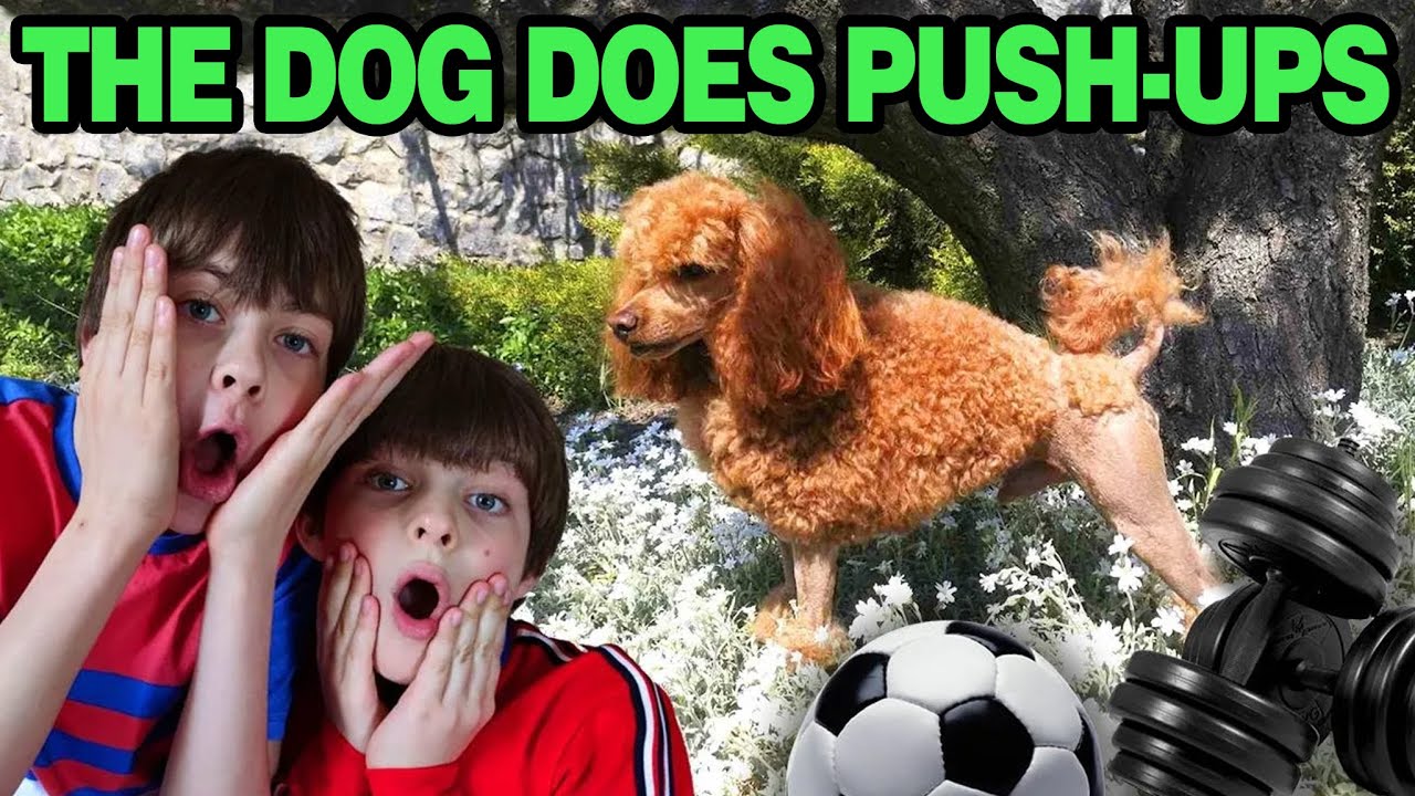 Our pet started doing push-ups. exercises with the dog.. - YouTube