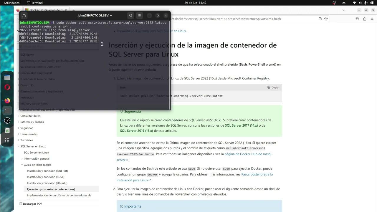 Instalación de SQL Server en Linux con Docker: Guía para Ubuntu y otras ...