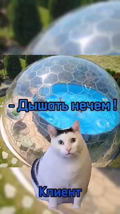 Прозрачный купол для бассейна Атмосфера. Ответы на вопросы клиентов ...