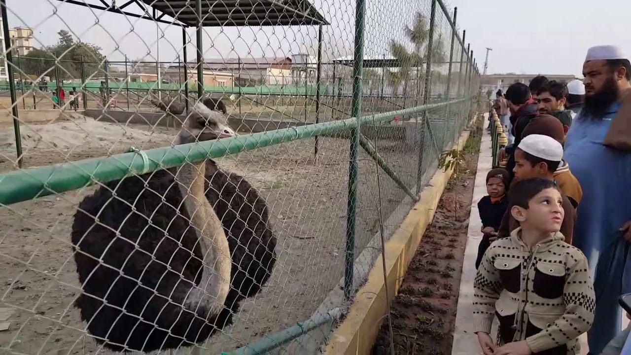 Peshawar Zoo - Palosai Road, Rahatabad Peshawar | Peshawar Zoo Park ...